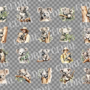 Watercolor Koala Clipart, Realistic Koalas Clipart, Cute Baby Koala ...