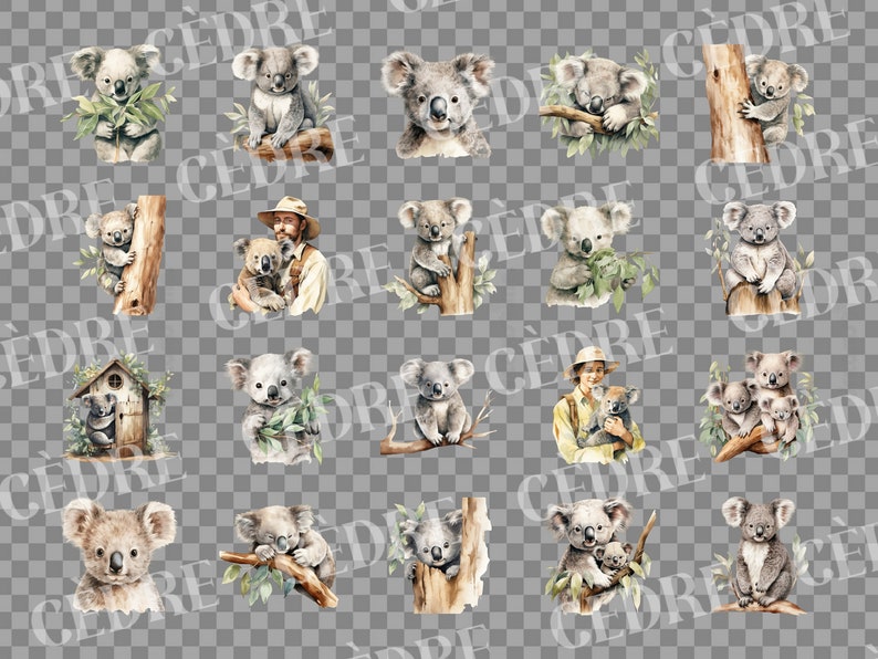 Watercolor Koala Clipart, Realistic Koalas Clipart, Cute Baby Koala ...