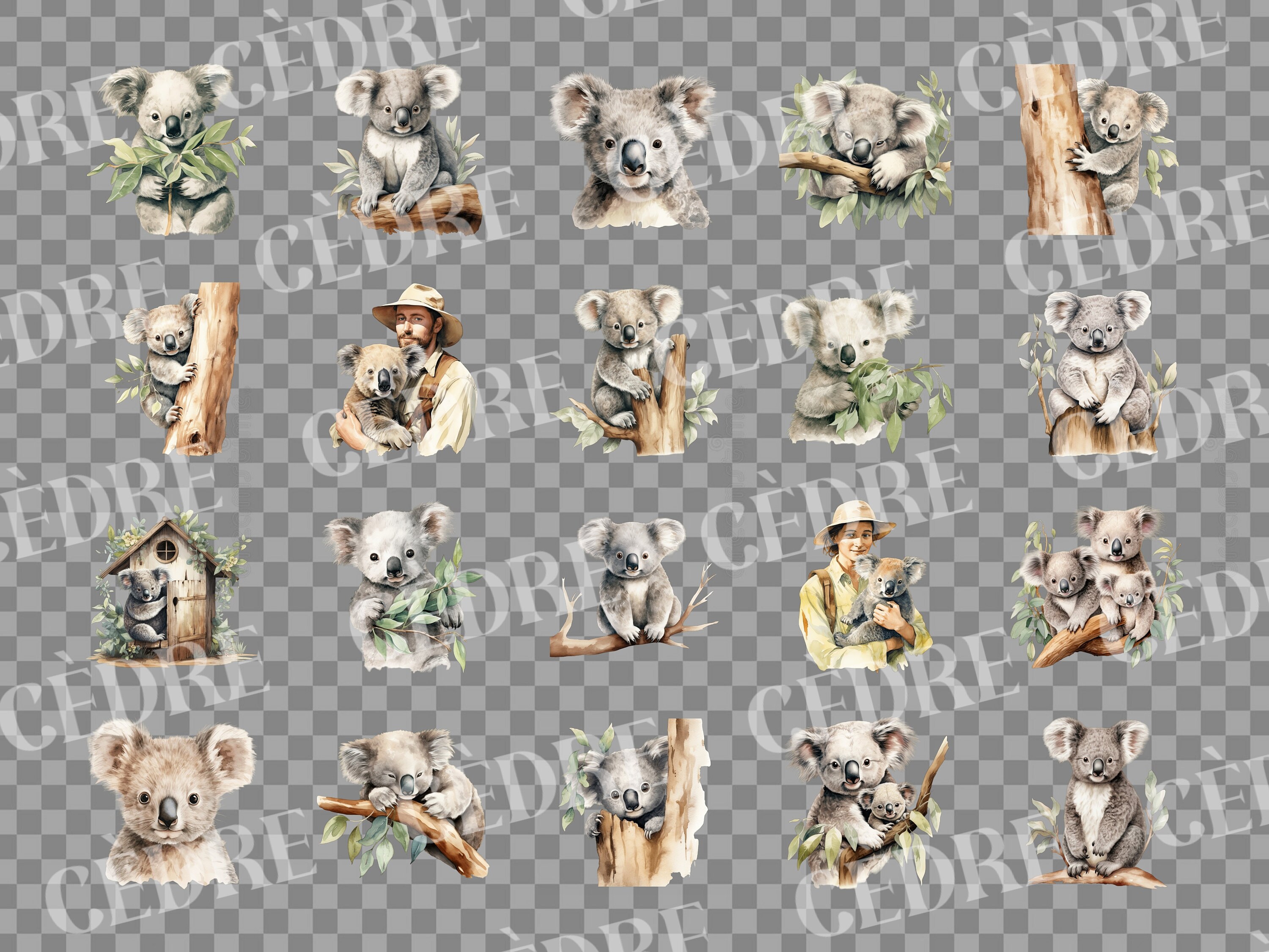 Watercolor Koala Clipart, Realistic Koalas Clipart, Cute Baby Koala ...