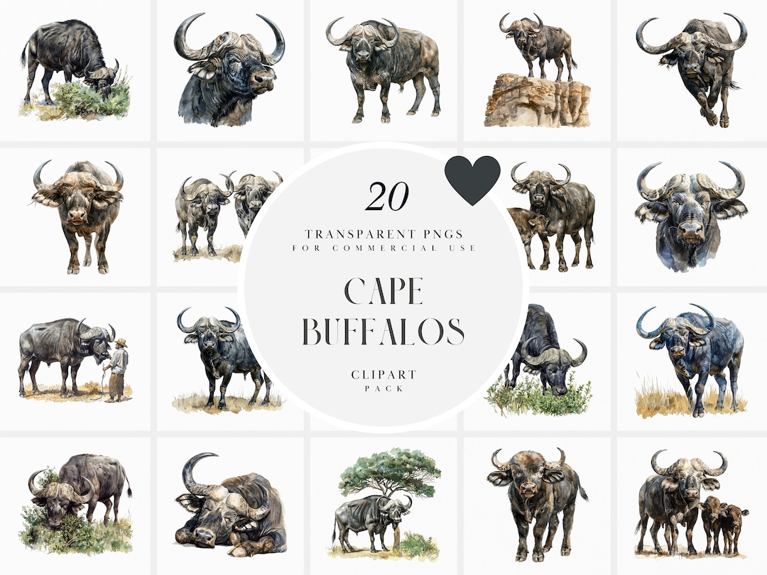Watercolor Cape Buffalo Clipart, South African Buffalo Clipart ...