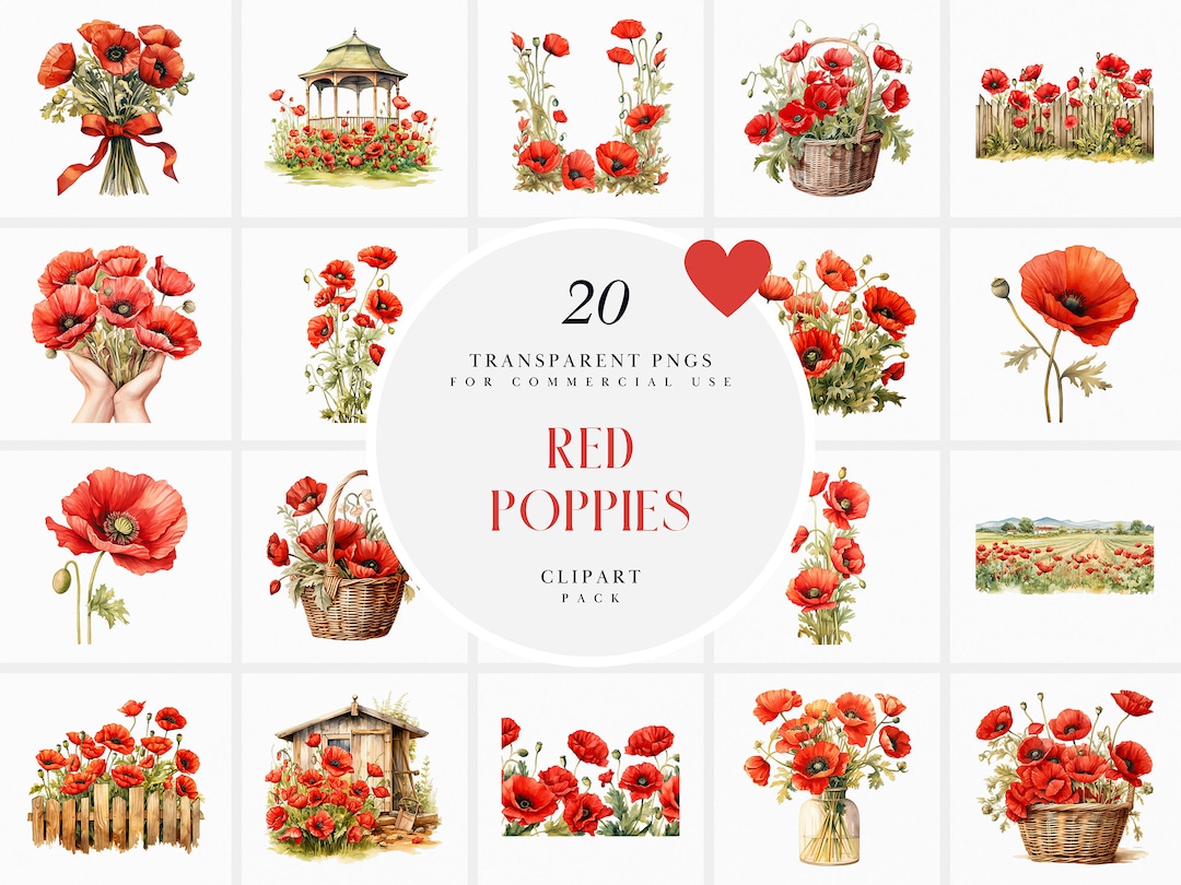 Watercolor Red Poppies Clipart, Red Poppy Flowers Clipart, Poppy ...