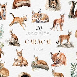 Watercolor Caracal Clipart, Big Wild Cat, African Savanna Animals ...