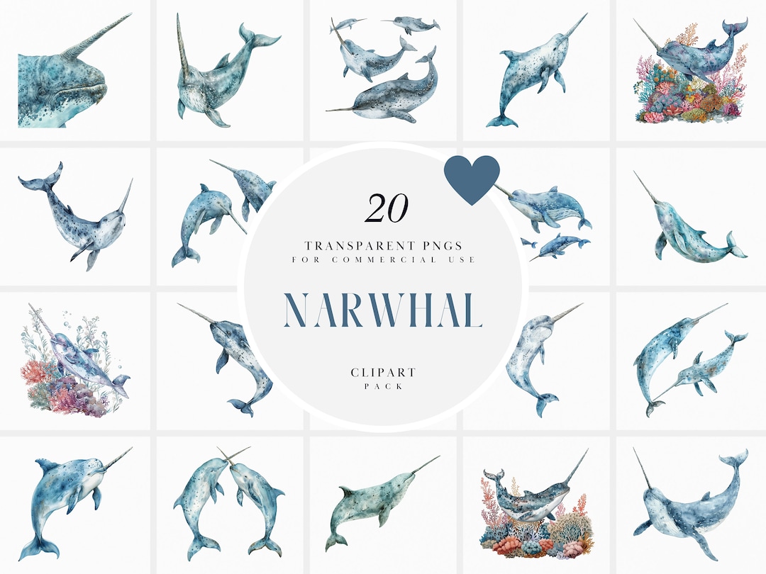 Watercolor Narwhal Clipart, Toothed Whale Clipart, Marine Mammals ...