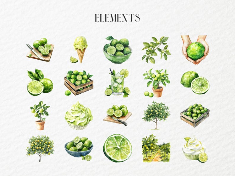 Watercolor Key Lime Clipart, Green Limes, Citrus Fruit, Summer, Slice ...