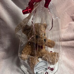Scented Wax Dipped Teddy Bear great Gift New Scents Available Now - Etsy
