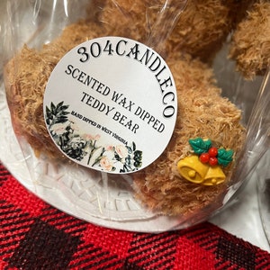 Scented Wax Dipped Teddy Bear great Gift Fall Pumpkin Scents Available ...