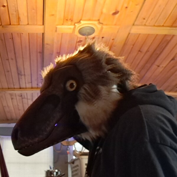 Bird Fursuit Head - Etsy