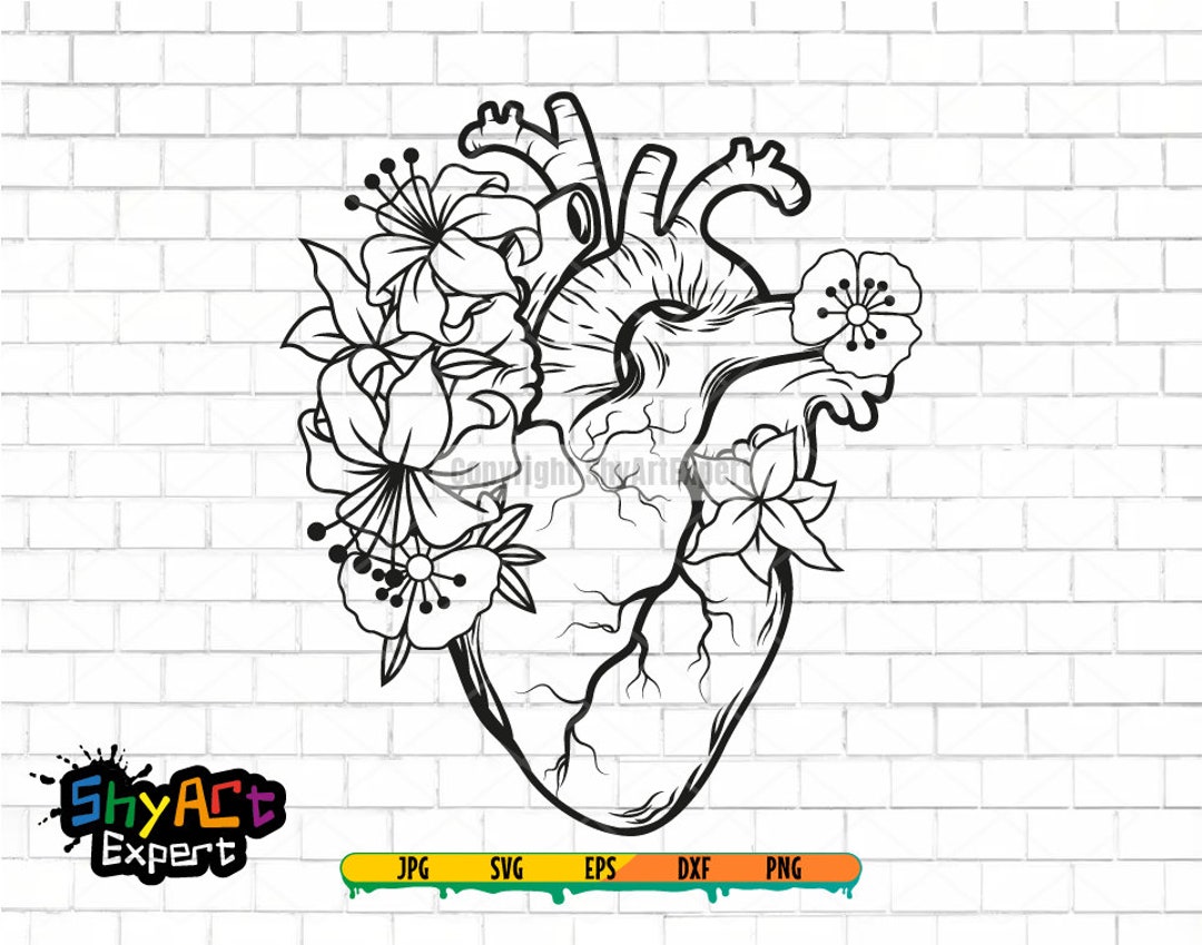 Heart Anatomy and Floral SVG File, Human Heart Svg, Heart Svg, Floral ...