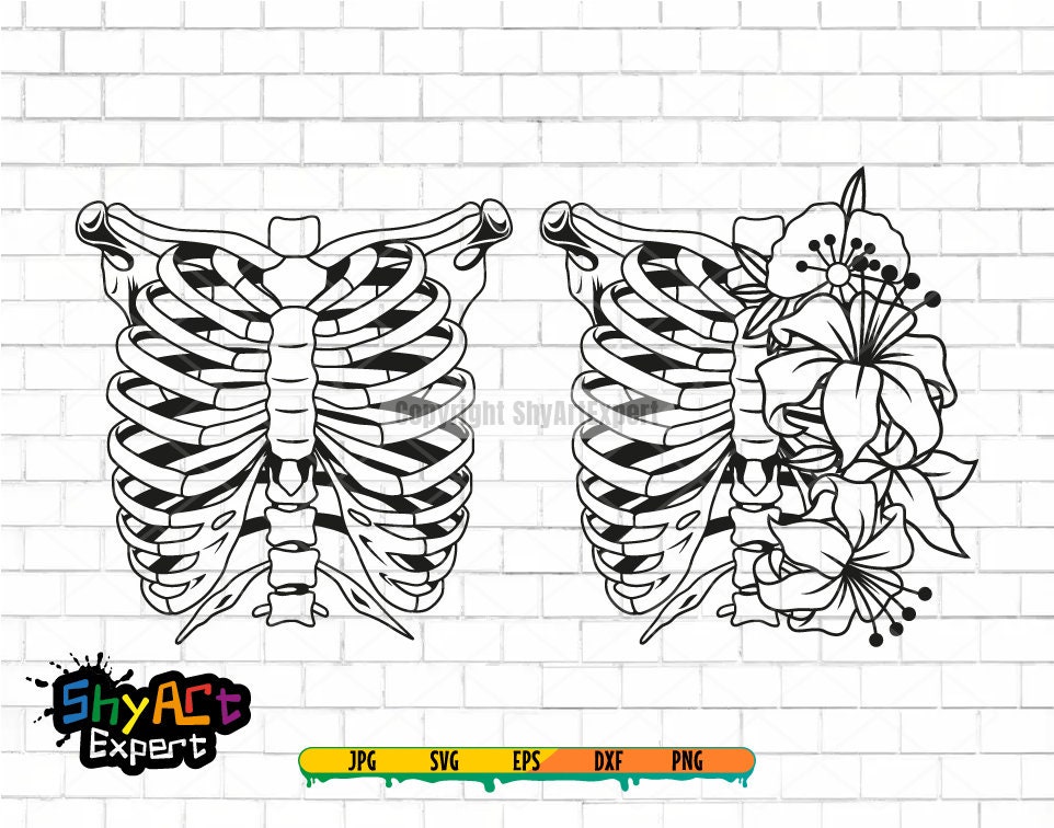Ribcage With Floral SVG File, Rib Cage Png, Skeleton Svg, Rib Cage ...