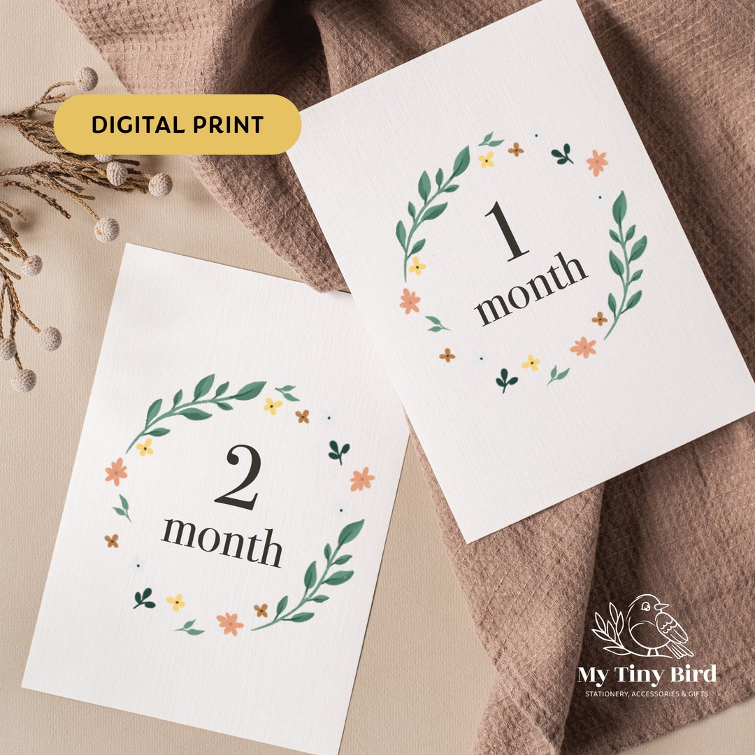 Printable Set 1-12 Months Cards ı Milestone Cards for First Year ı Baby ...