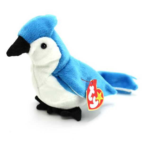 Baby Blue Jay - Etsy