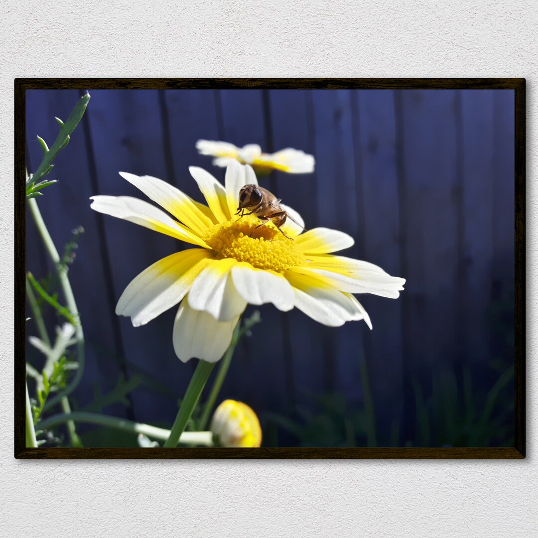 Mural for Download bee at Work Poster to Print - Etsy