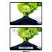 Neon Green Volcano Eruption Wallpaper | Volcano Wallpaper | Volcano ...