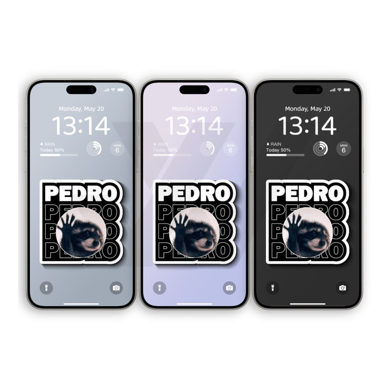 Pedro Pedro Raccoon Meme Smatphone Wallpaper | High-resolution Digital ...