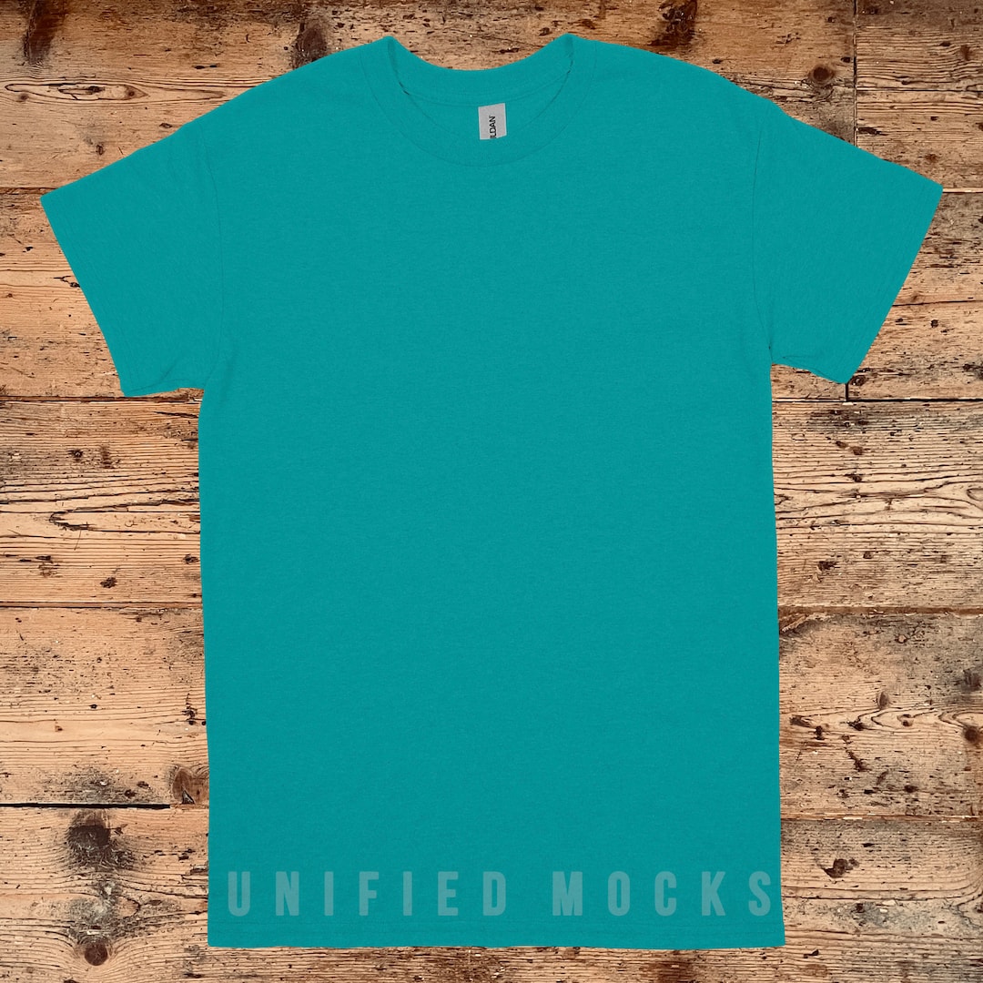 Antique Jade Dome Gildan 5000 T-shirt • Mockup / Mock • 300dpi JPG ...