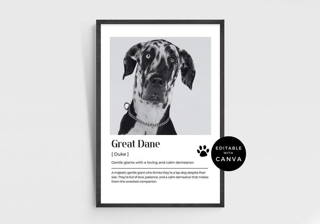 Great Dane Photo Definition Print Template, Dog Photo Wall Art, Gift ...