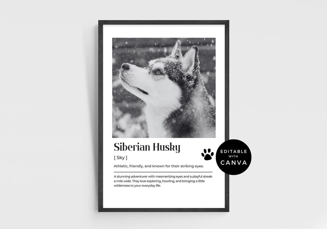 Siberian Husky Photo Definition Print Template, Dog Photo Wall Art ...