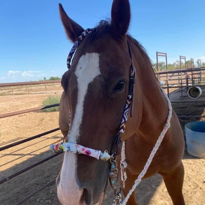 Attachable Rope Nose Band With Hardware - Etsy