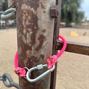Bucket Hanger, Gate Clip Lariat Rope Clip: Locking Carabiner for Horses ...