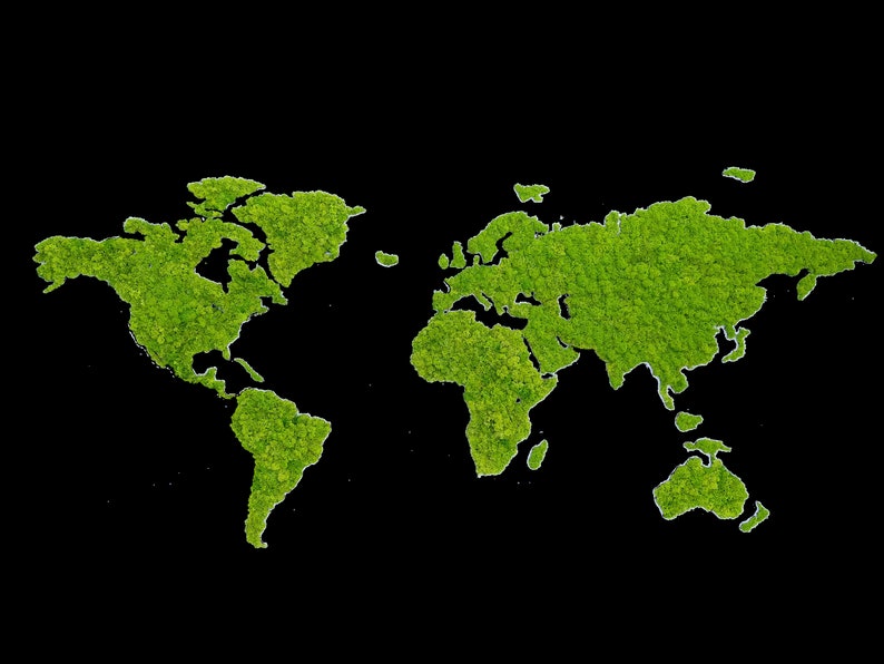 Moss Wall Art World Map - Etsy