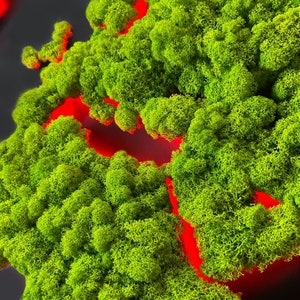 Moss LED Wall Art World Map - Etsy