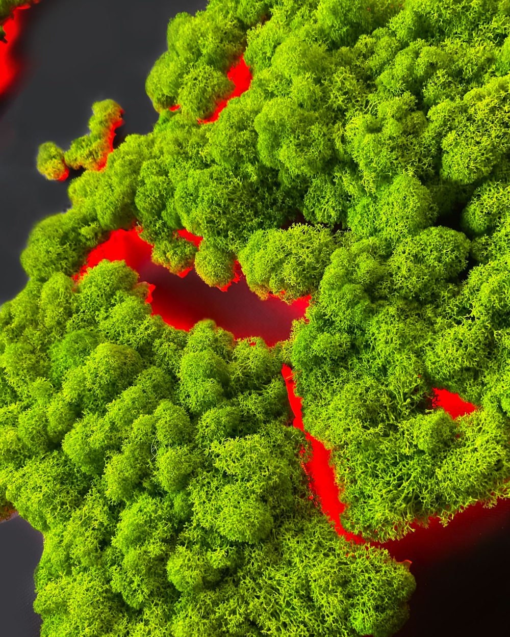 Moss LED Wall Art World Map - Etsy