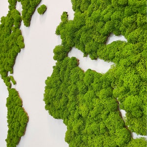 Moss Wall Art World Map - Etsy