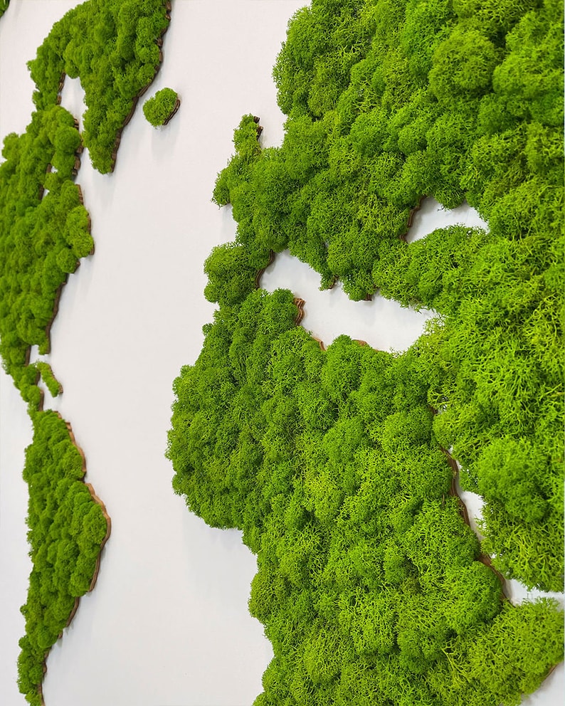 Moss Wall Art World Map - Etsy