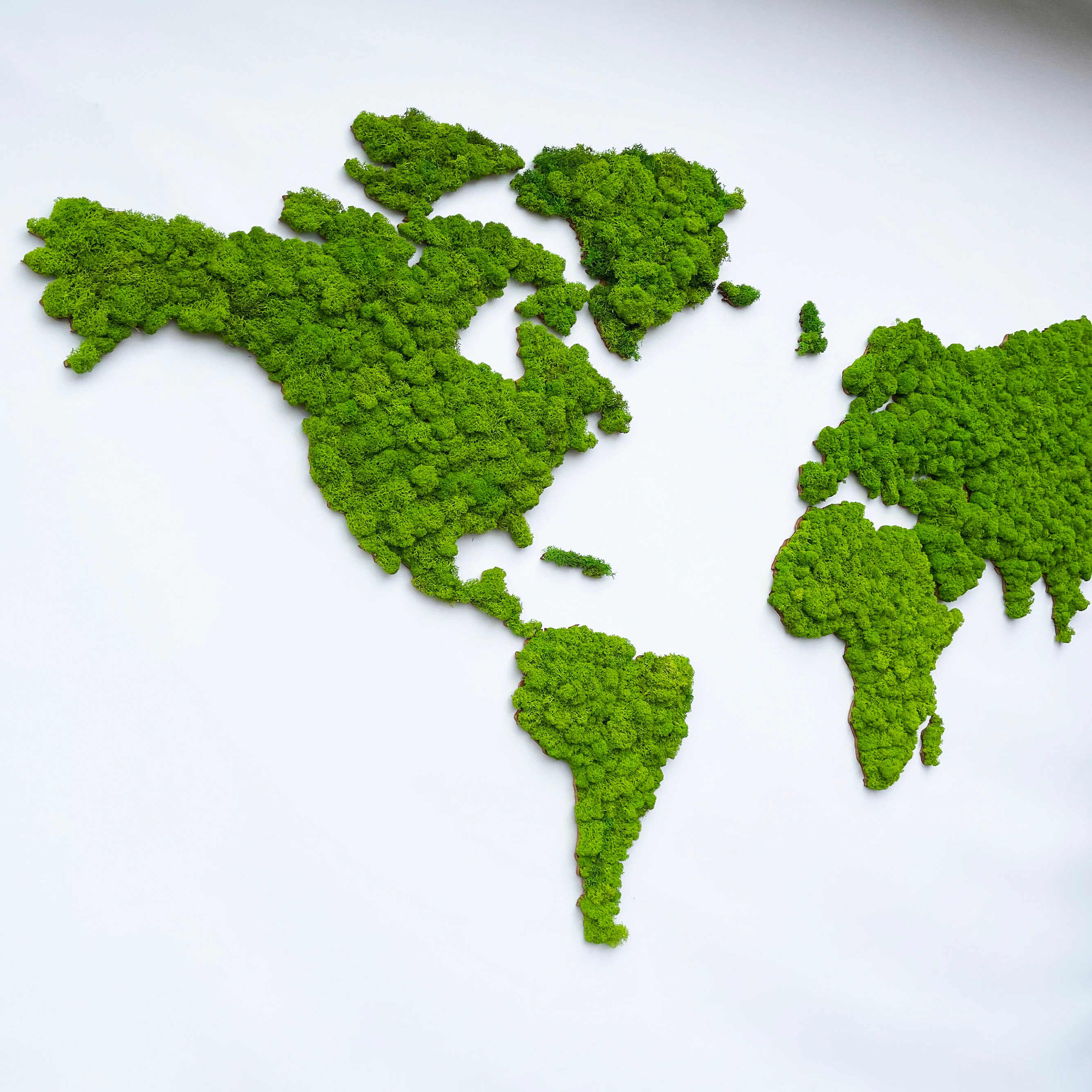 Moss Wall Art World Map - Etsy