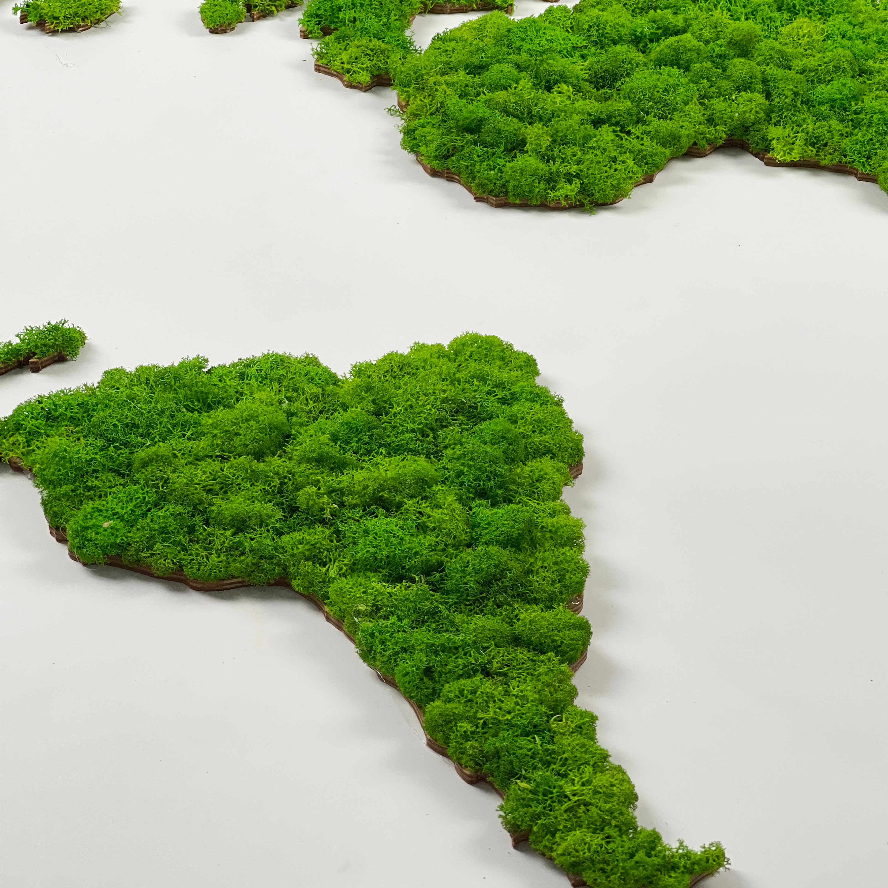 Moss Wall Art World Map - Etsy