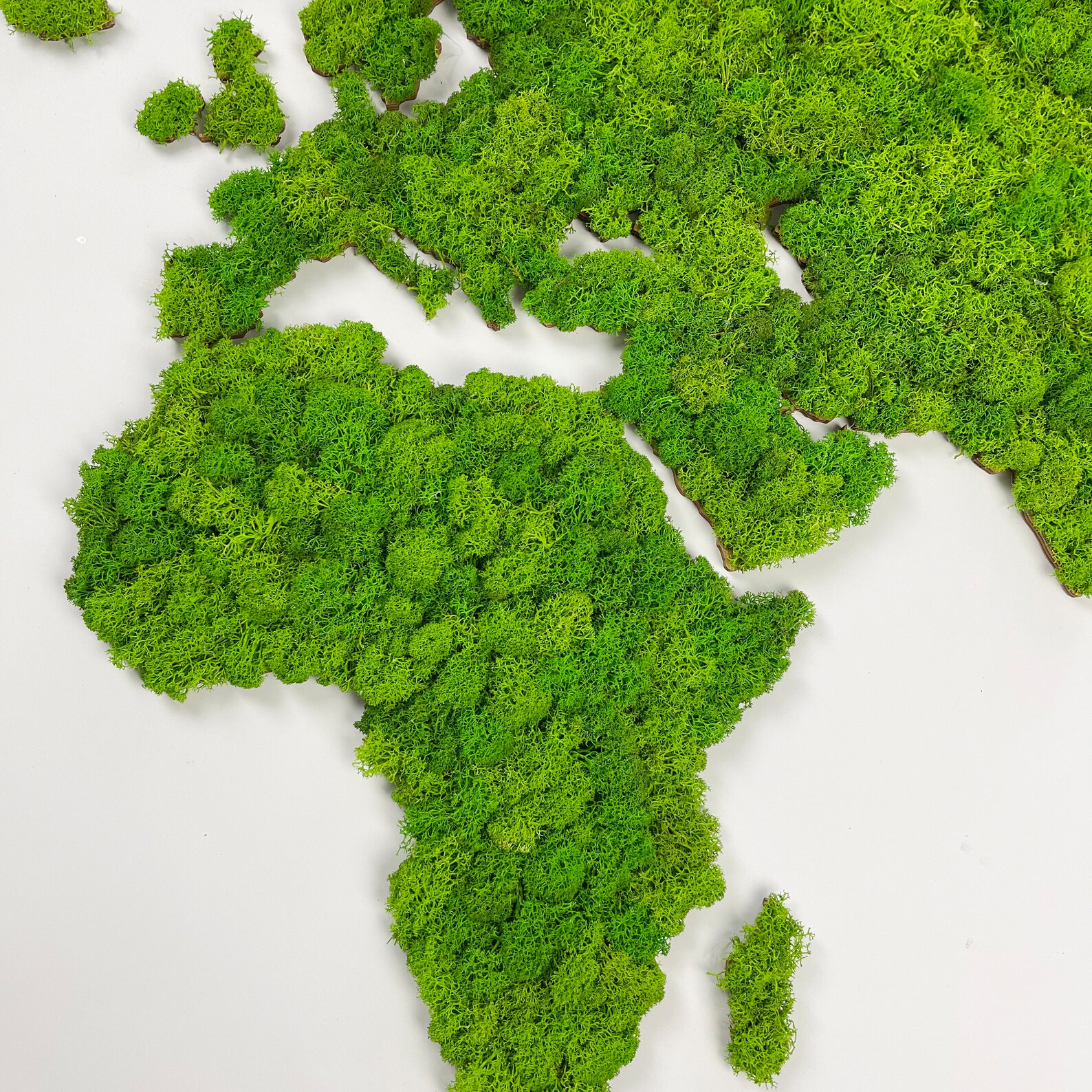 Moss Wall Art World Map - Etsy