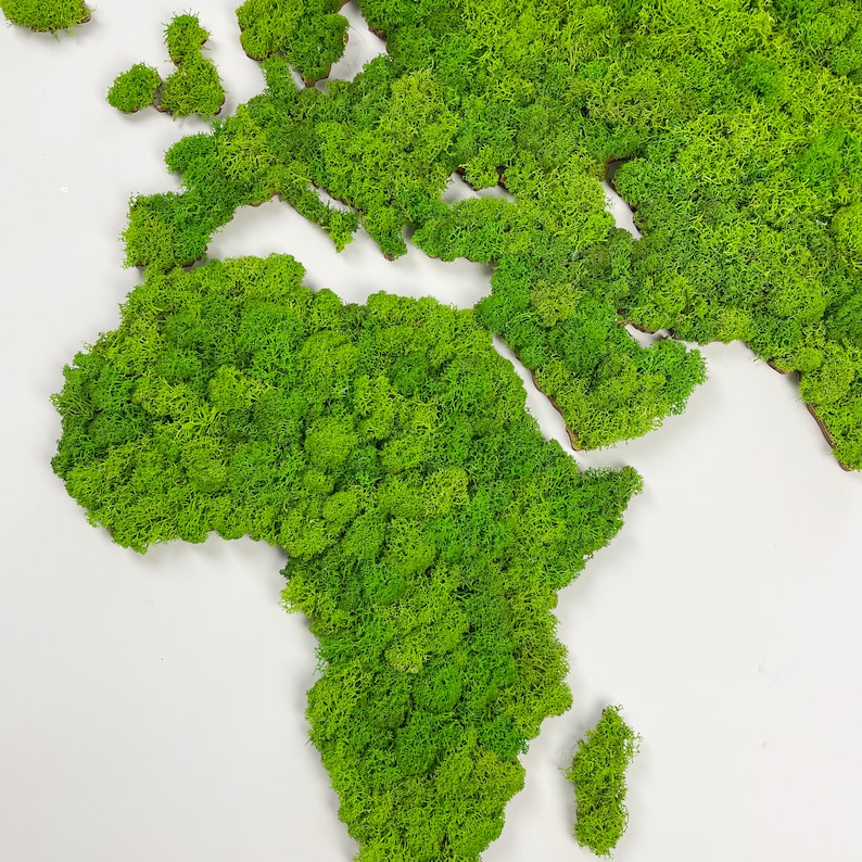 Moss Wall Art World Map - Etsy