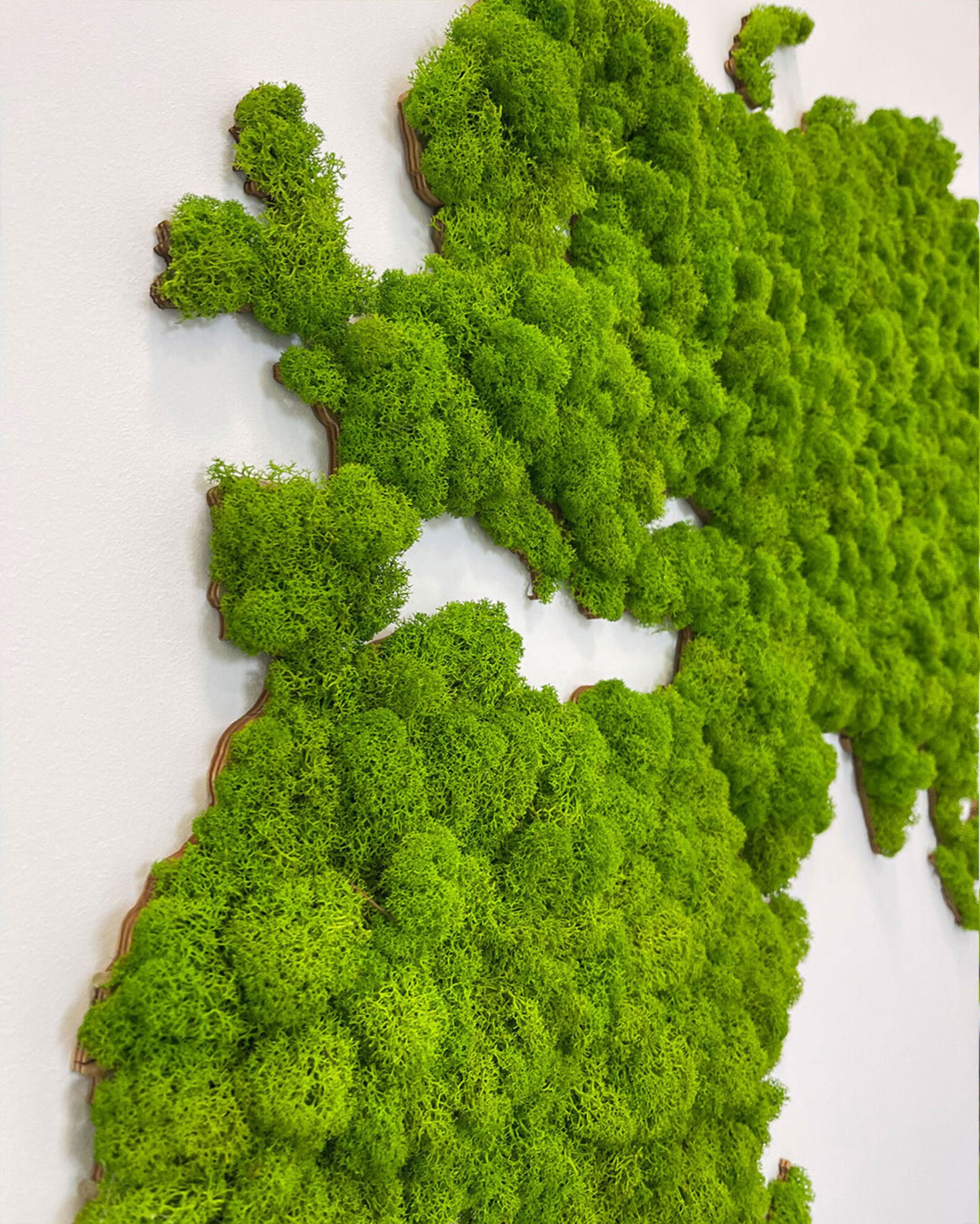 Moss Wall Art World Map - Etsy