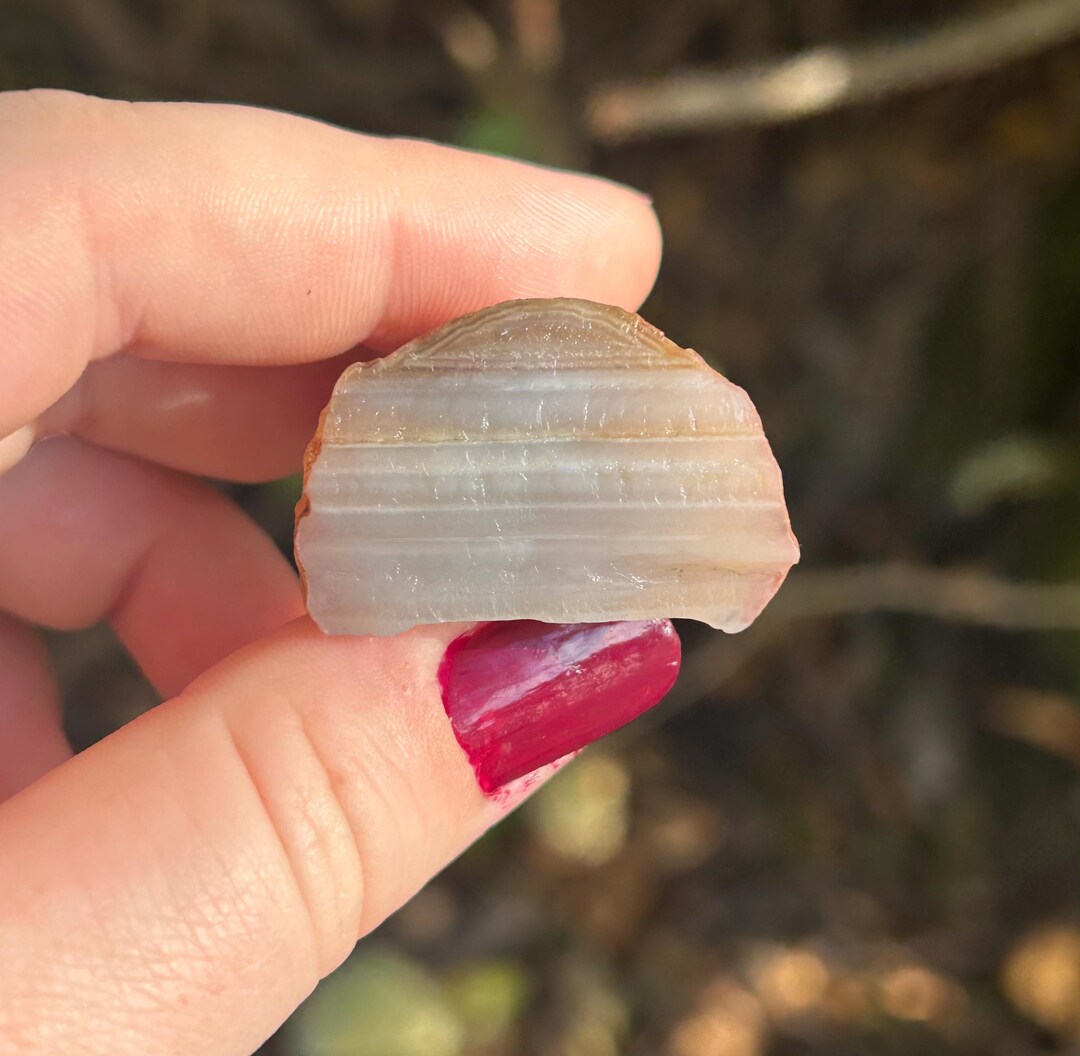 Scottish Waterline Agate Nodule, Hand Polished, Crystals, Rocks and ...