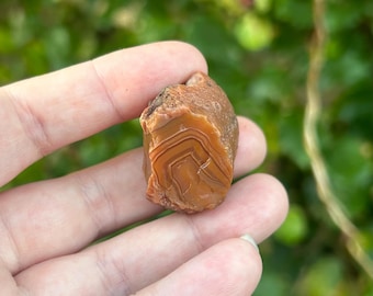 Scottish Blue Banded/fortification Agate, Hand Polished, Crystals ...