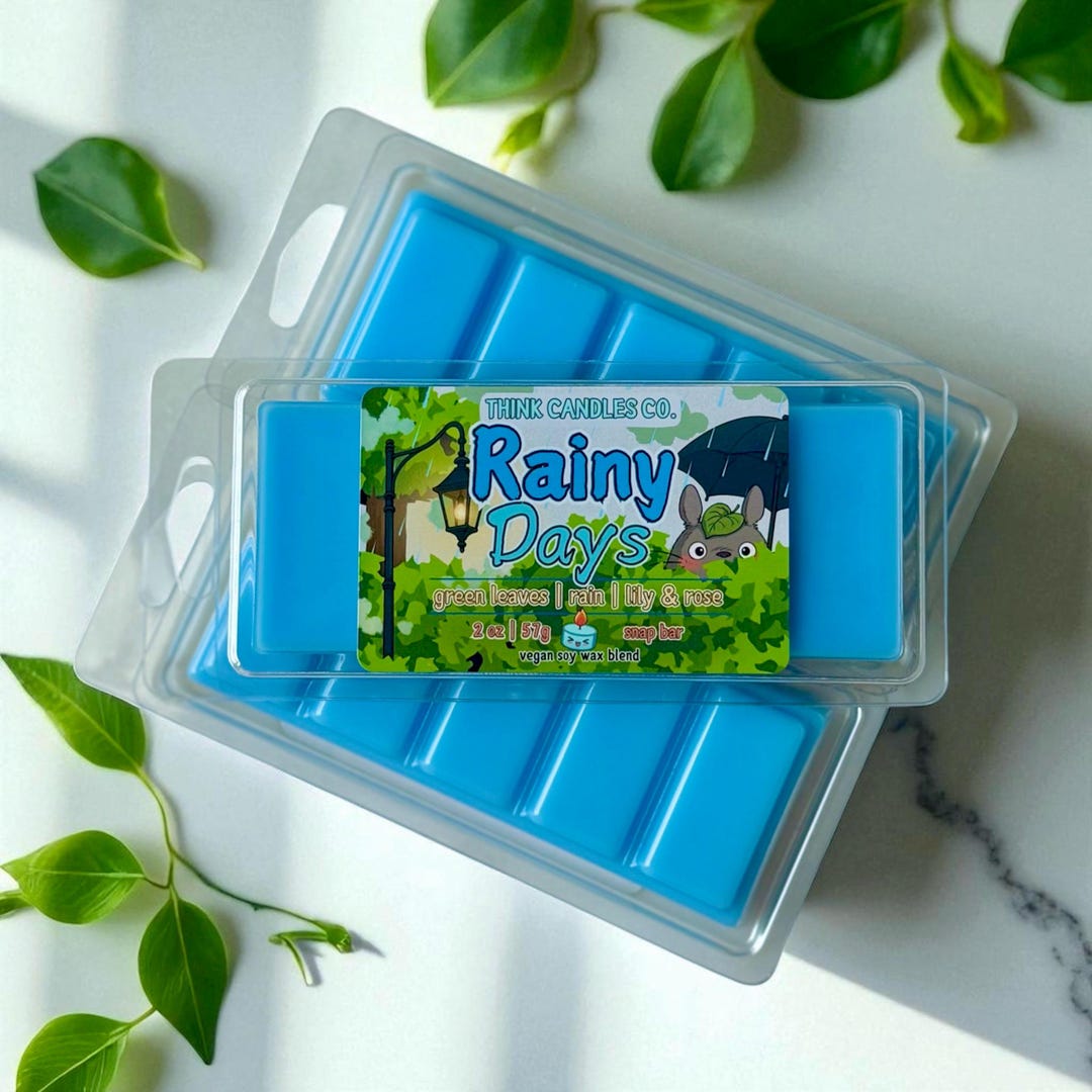Rainy Days Snap Bar | Anime Inspired Snap Bar | Hand Poured Vegan Wax ...