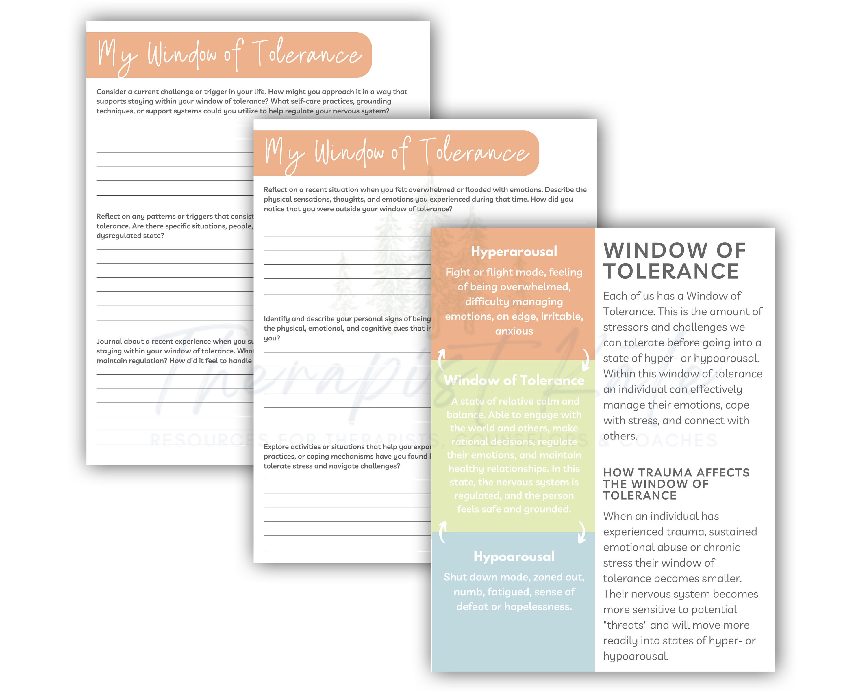 Window of Tolerance Therapy Worksheets, Emotional Regulation, Therapist ...