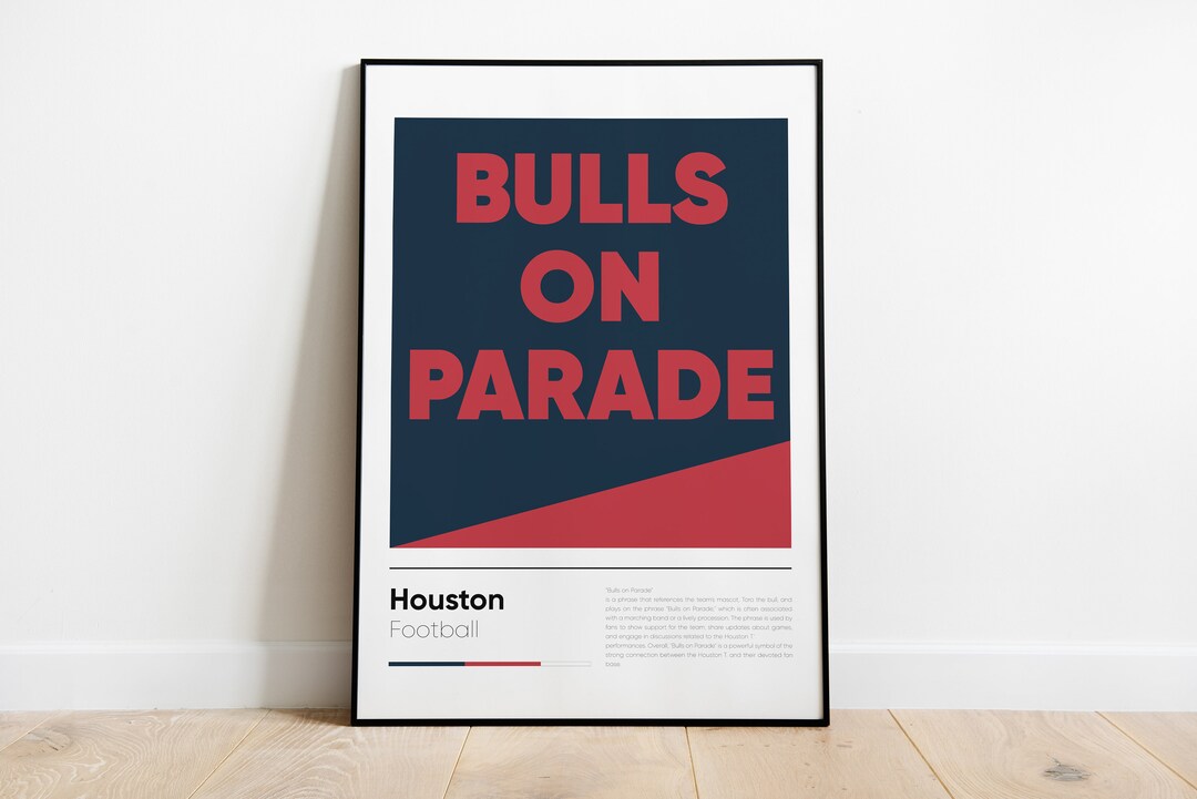 HUSTON TEXANS Poster, Nfl Iconic Printed Poster Collection, Wall Art - Etsy
