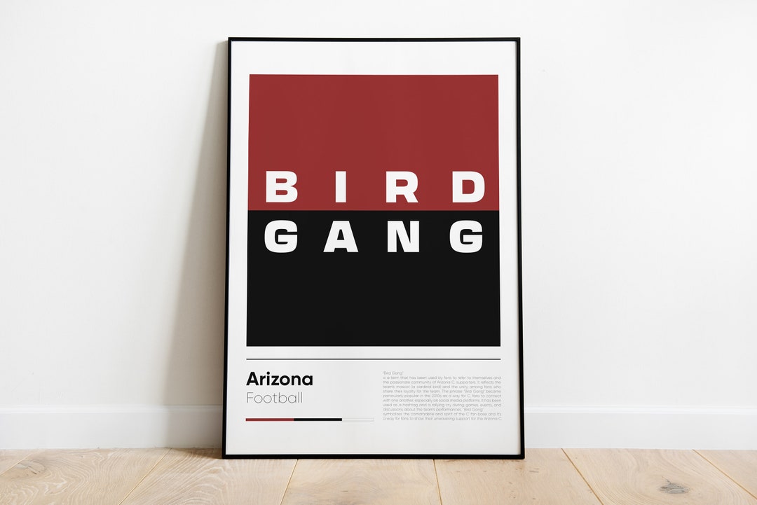 ARIZONA CARDINALS Poster, Nfl Iconic Printed Poster Collection, Wall ...