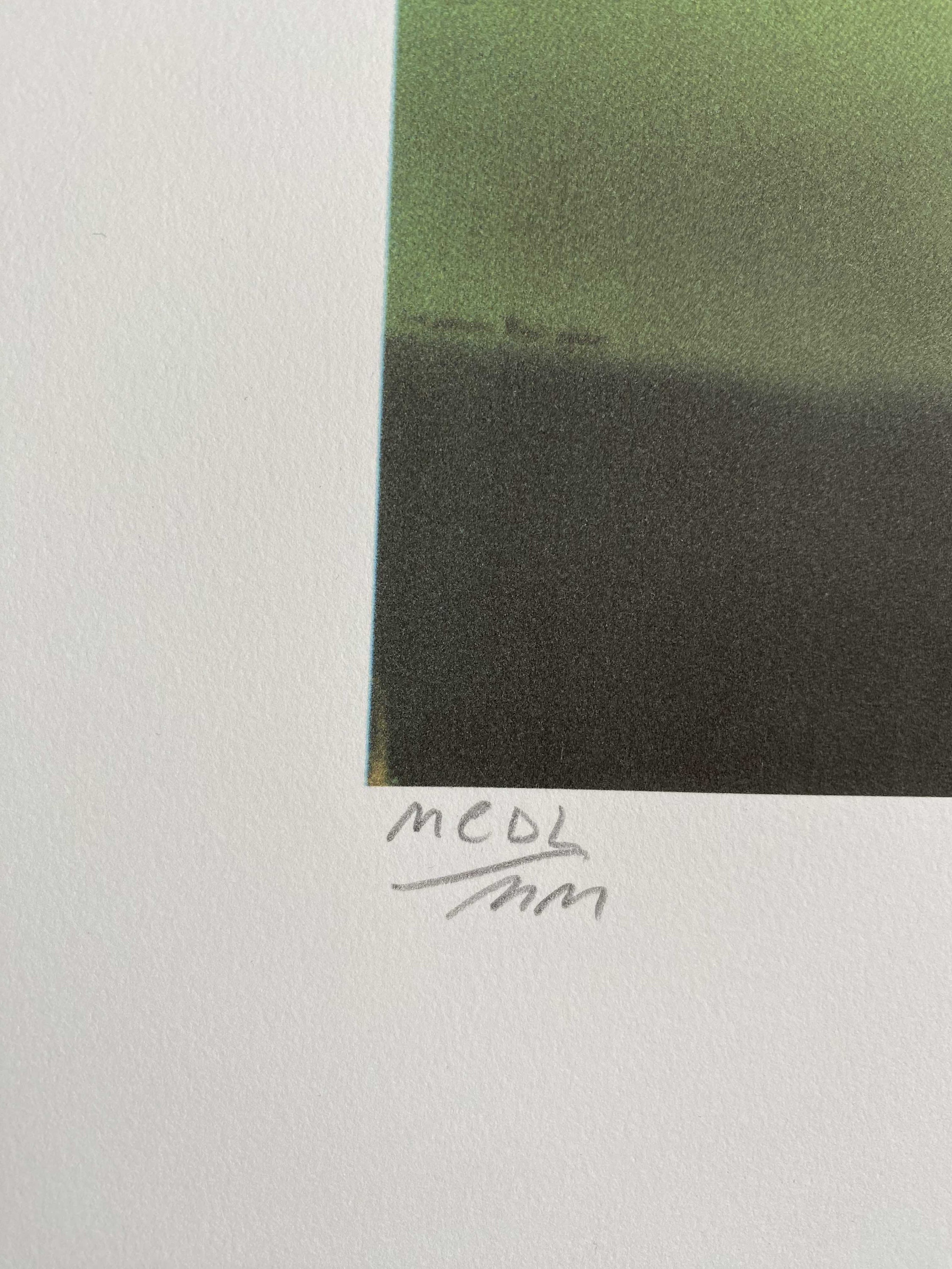 Salvador Dali Transparent Simulacrum of the Feigned Image 50 Cm X 65 Cm ...