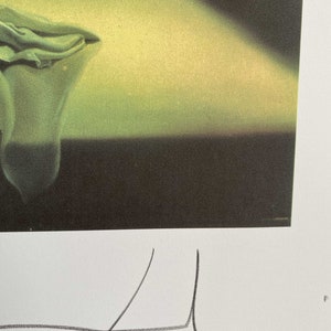 Salvador Dali Transparent Simulacrum of the Feigned Image 50 Cm X 65 Cm ...