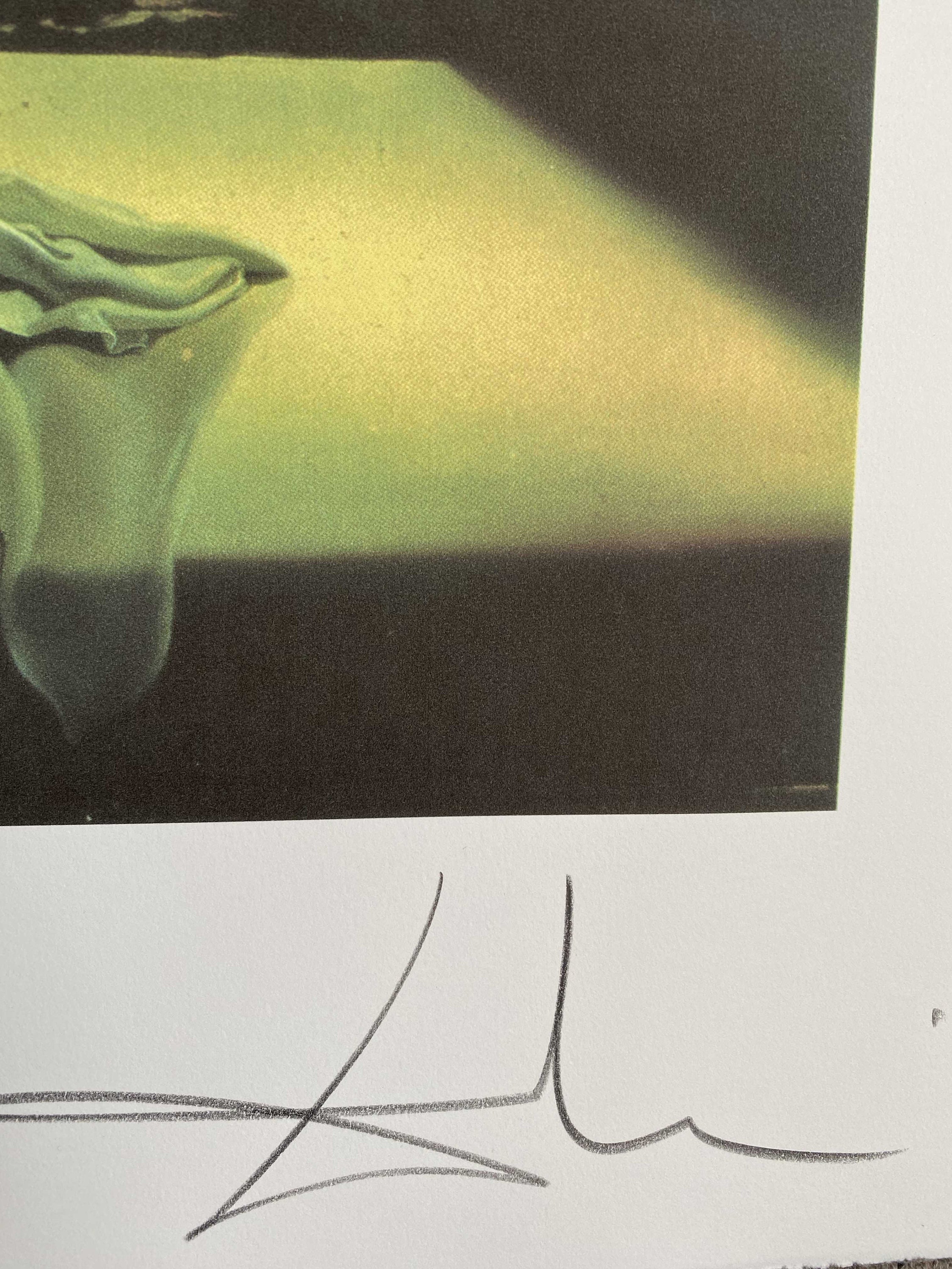 Salvador Dali transparent Simulacrum of the Feigned Image - Etsy