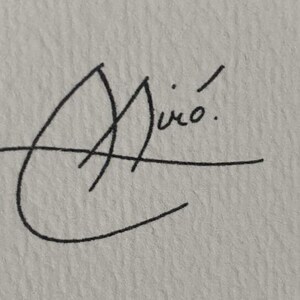 JOAN MIRO * Untitled * 78 X 57 Cm * Signed Lithograph * Limited # Xx ...