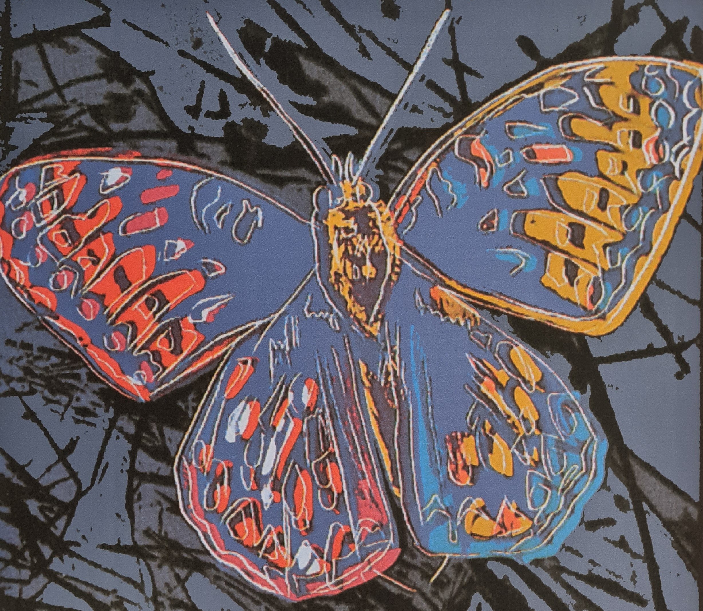ANDY WARHOL Butterfly Lithograph Art Print Limited Xx/100 - Etsy