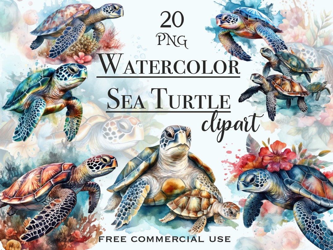 Watercolor Sea Turtle PNG Bundle, Floral Sea Turtle Clipart, Sea ...