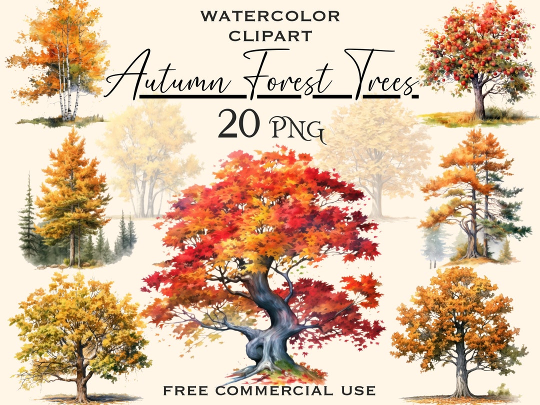Fall Forest Trees Clipart, Autumn Woods Png Images Bundle, Transparent ...