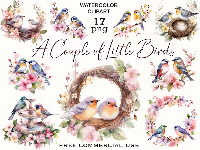 Little Bird Clipart Watercolor Birds Png Bird Clip Art - Etsy