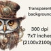 Steampunk Owl Clipart, Fantasy Bird Character Portaits Bundle ...