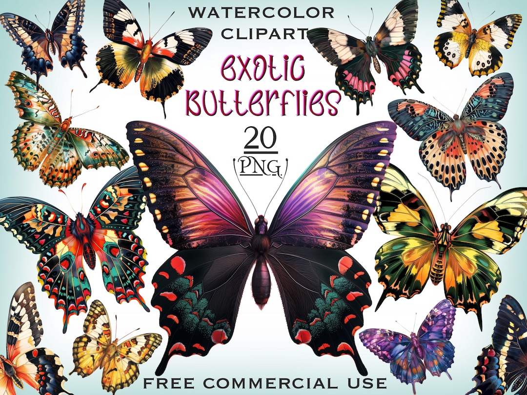 Butterfly PNG Bundle, Watercolor Clipart, Butterfly Clipart ...