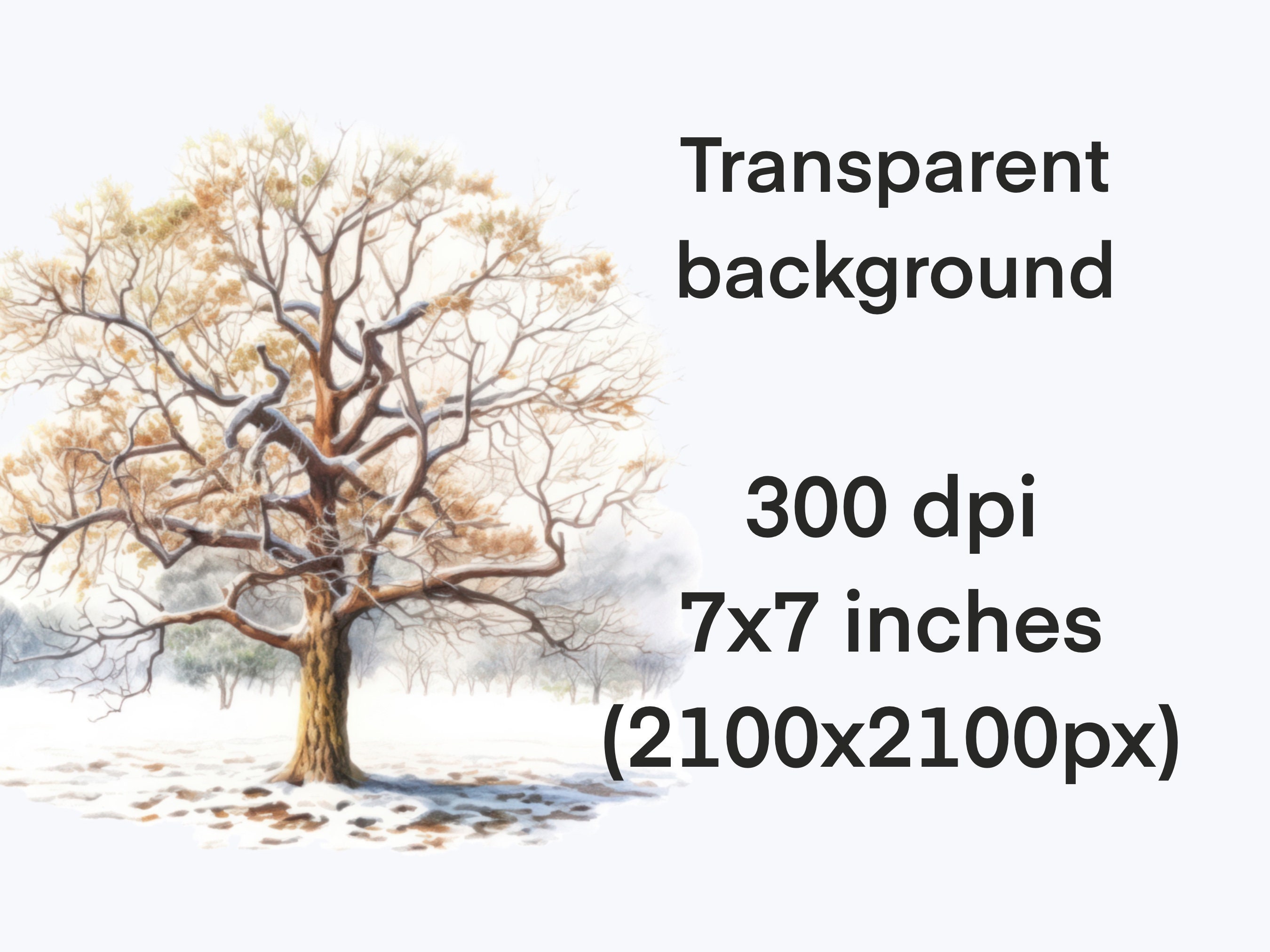 Winter Forest Trees Clipart, Snowy Tree Png Bundle, Watercolor Winter ...